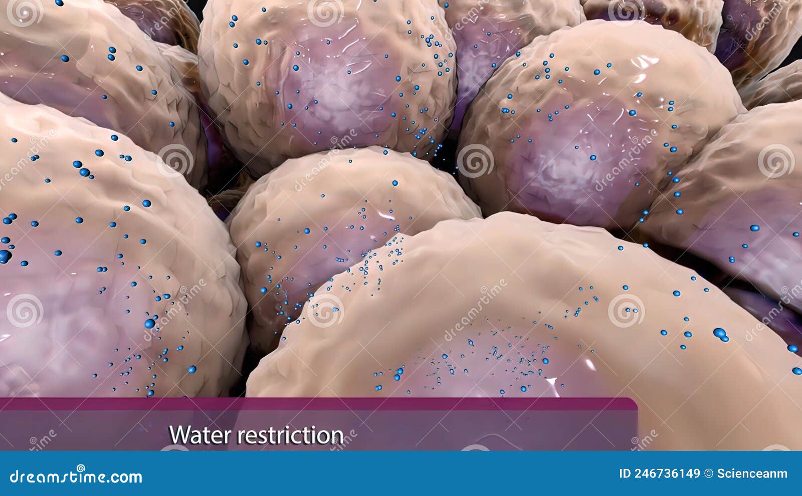 Interaction of Cells with Water Stock Illustration - Illustration of ...
