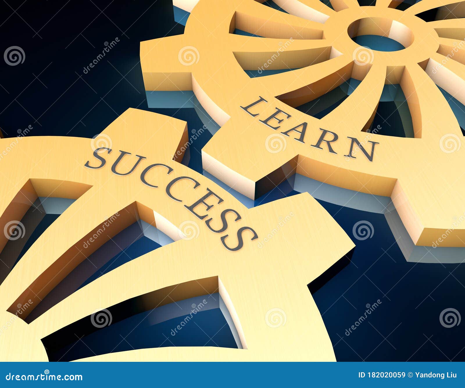 Interaction and Cooperation between Gears, Learning and Success ...