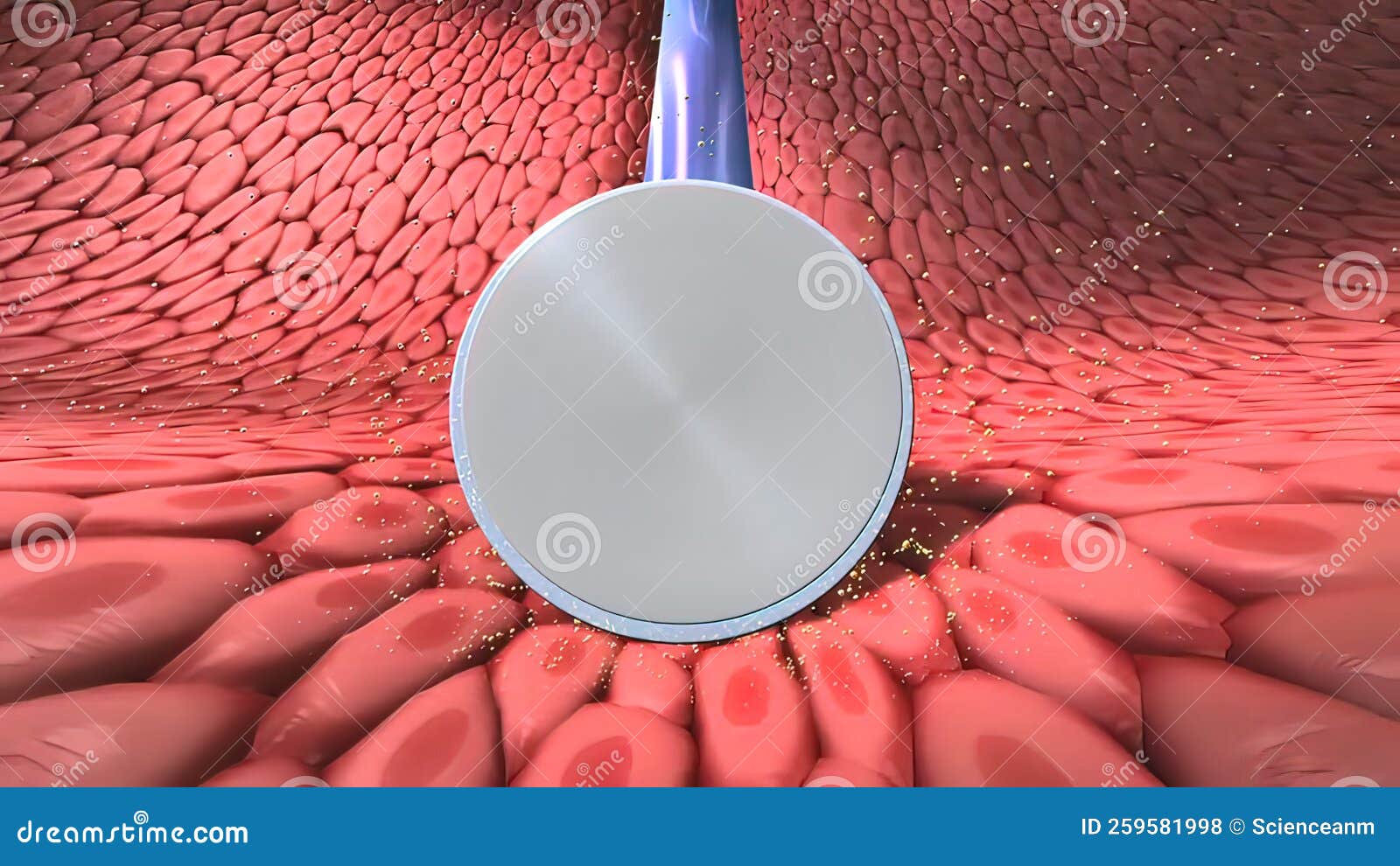 Interactions of Synthetic Polymers with Cell Membranes and Model ... Interactions of Synthetic Polymers with Cell Membranes and Model ...