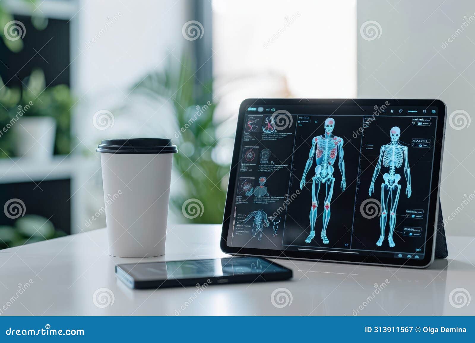 Interactive Digital Anatomy Reference on Tablet in a Clinical Setting ...