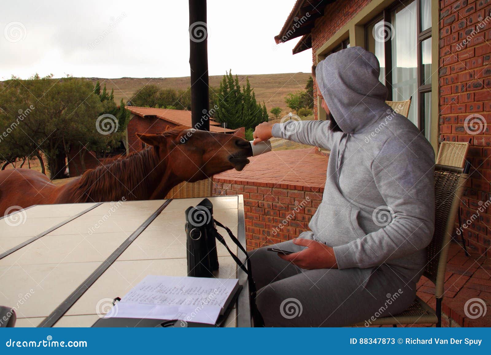 Interazione Umana Ed Animale Fotografia Stock Editoriale - Immagine di ...