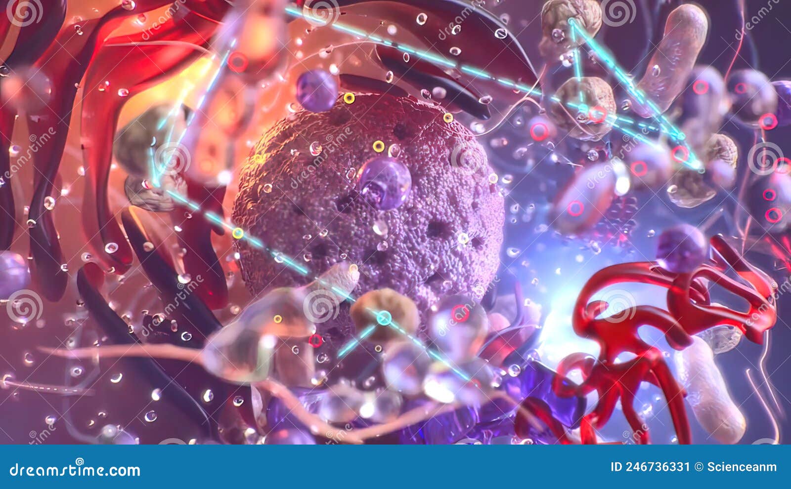 Intercellular Connections, Structures that Provide Adhesion and ...