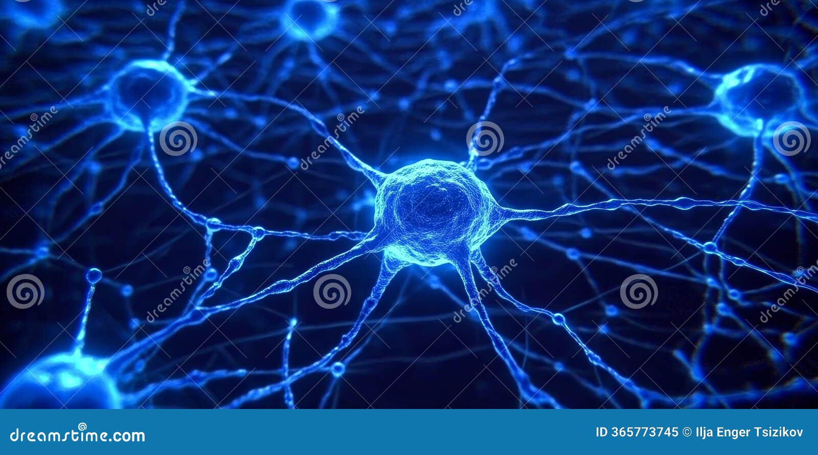 Neurons, Synapses, Human Brain Exploration And Capabilities Royalty ...