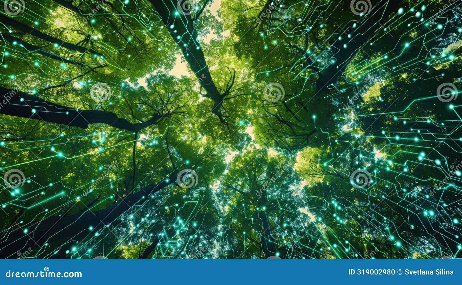 Interconnected Trees and Circuits, Representing the Synergy of Natural ...