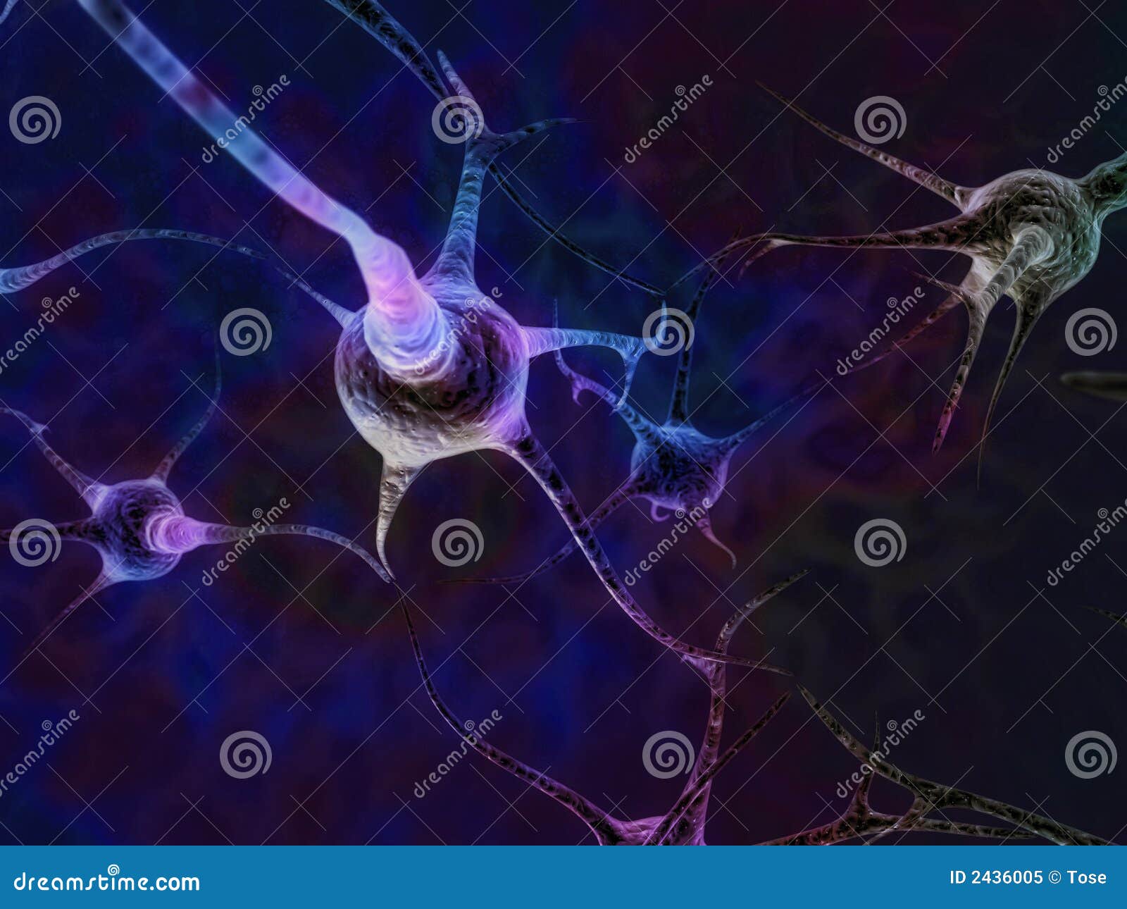 Interconnecting Brain Cells Stock Illustration - Illustration of ...