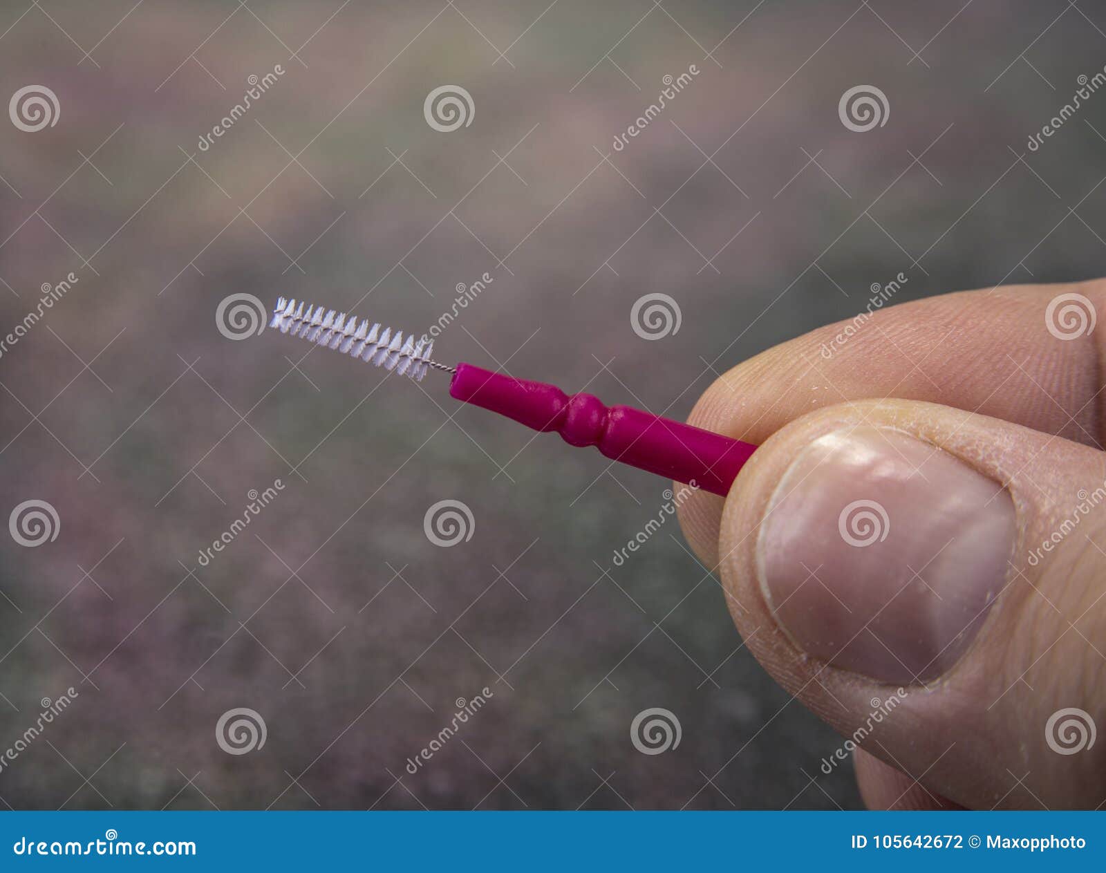 Interdental Brush Soft Picks Teeth Cleaning Tools. Stock Photo - Image ...