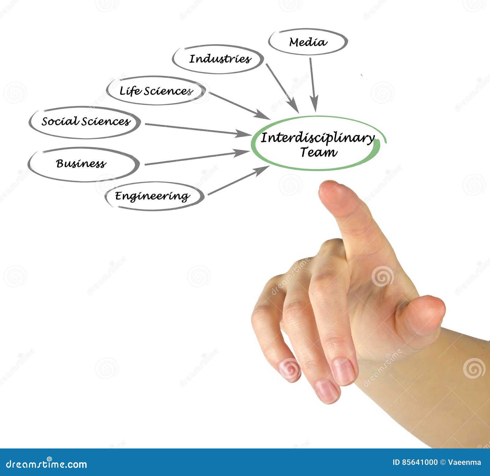 Interdisciplinary Team stock photo. Image of management - 85641000