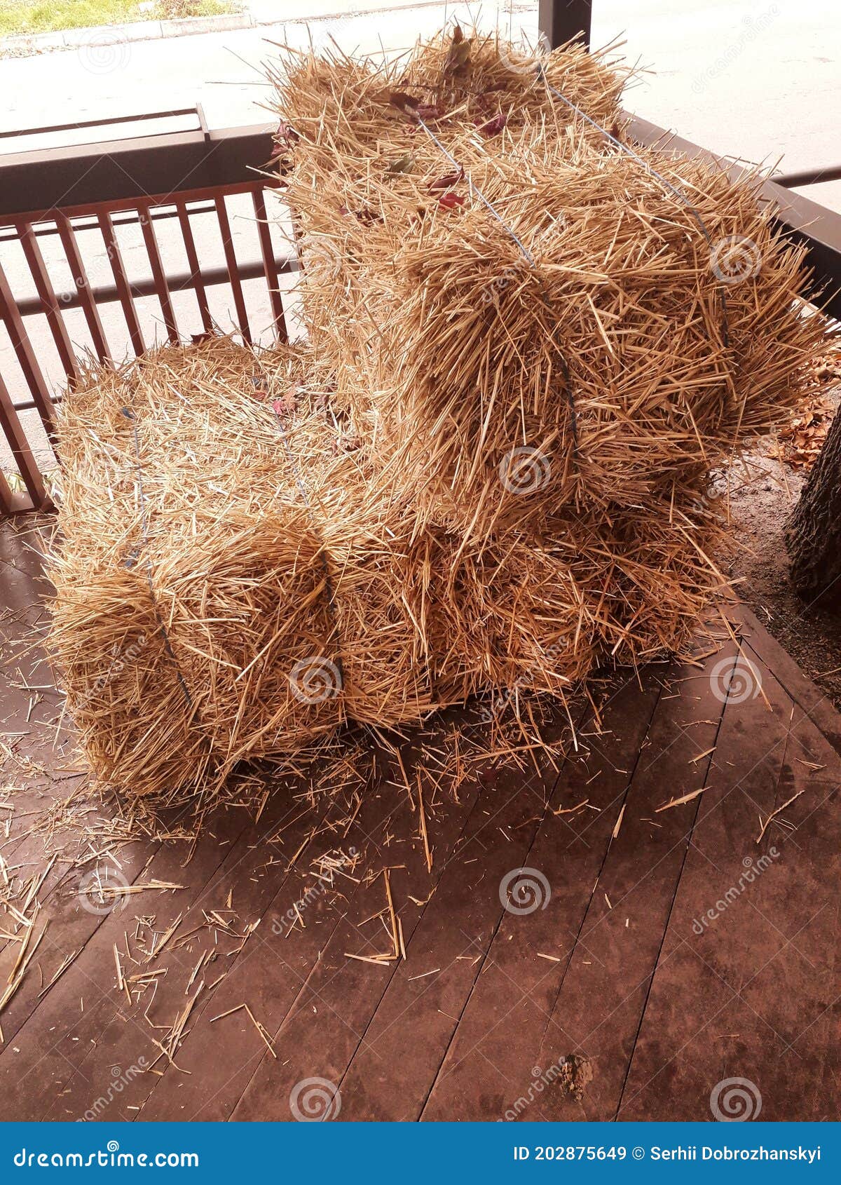 Haystack on the Porch of a Cafe Stock Image - Image of animal, wildlife ...