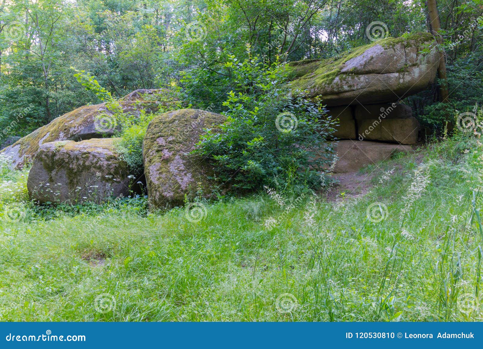 Interesting Construction of Large Boulders in the Forest Against the ...