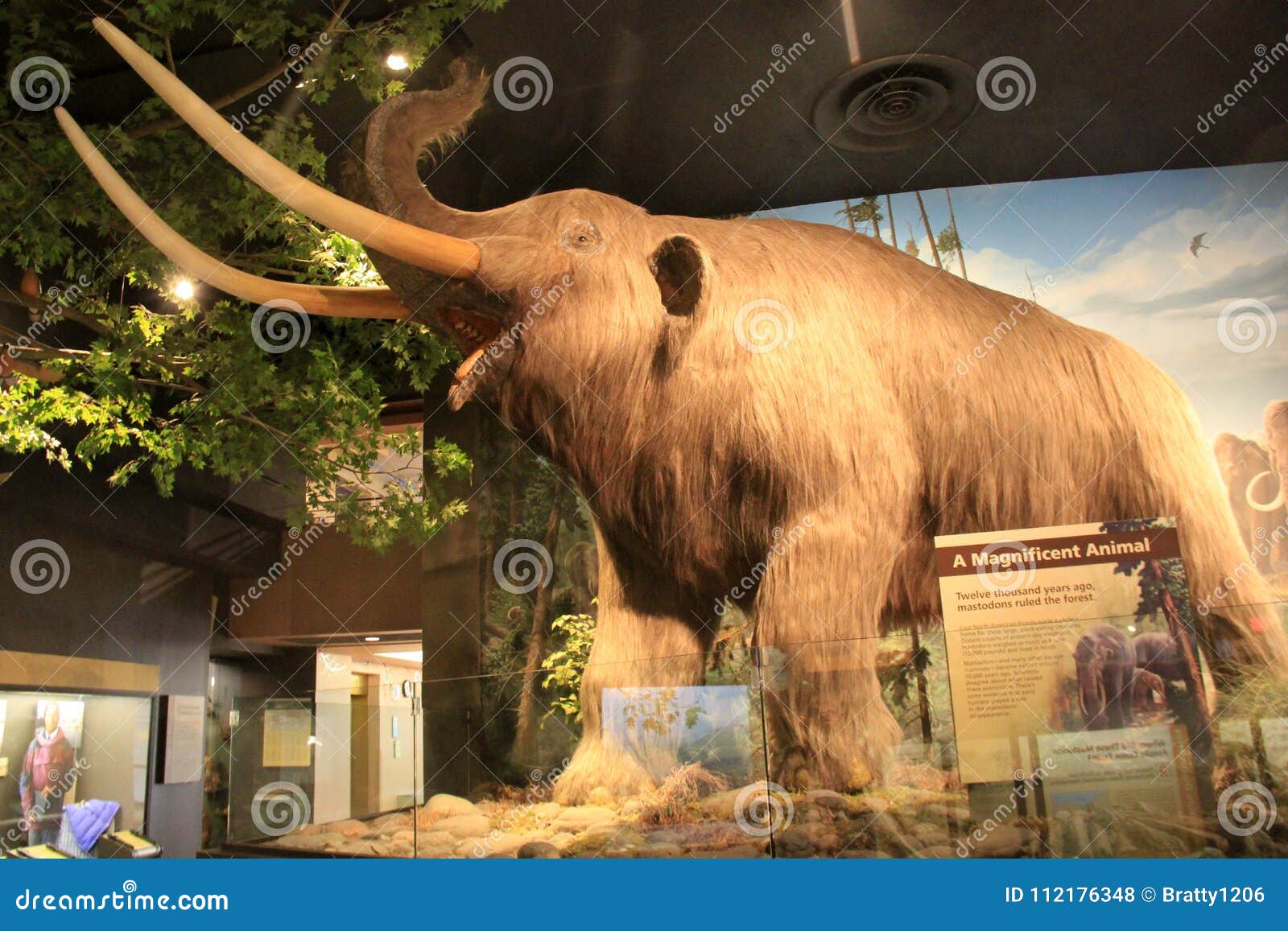Replica of Mastadon, One of the Amazing Sights Inside Museum and ...