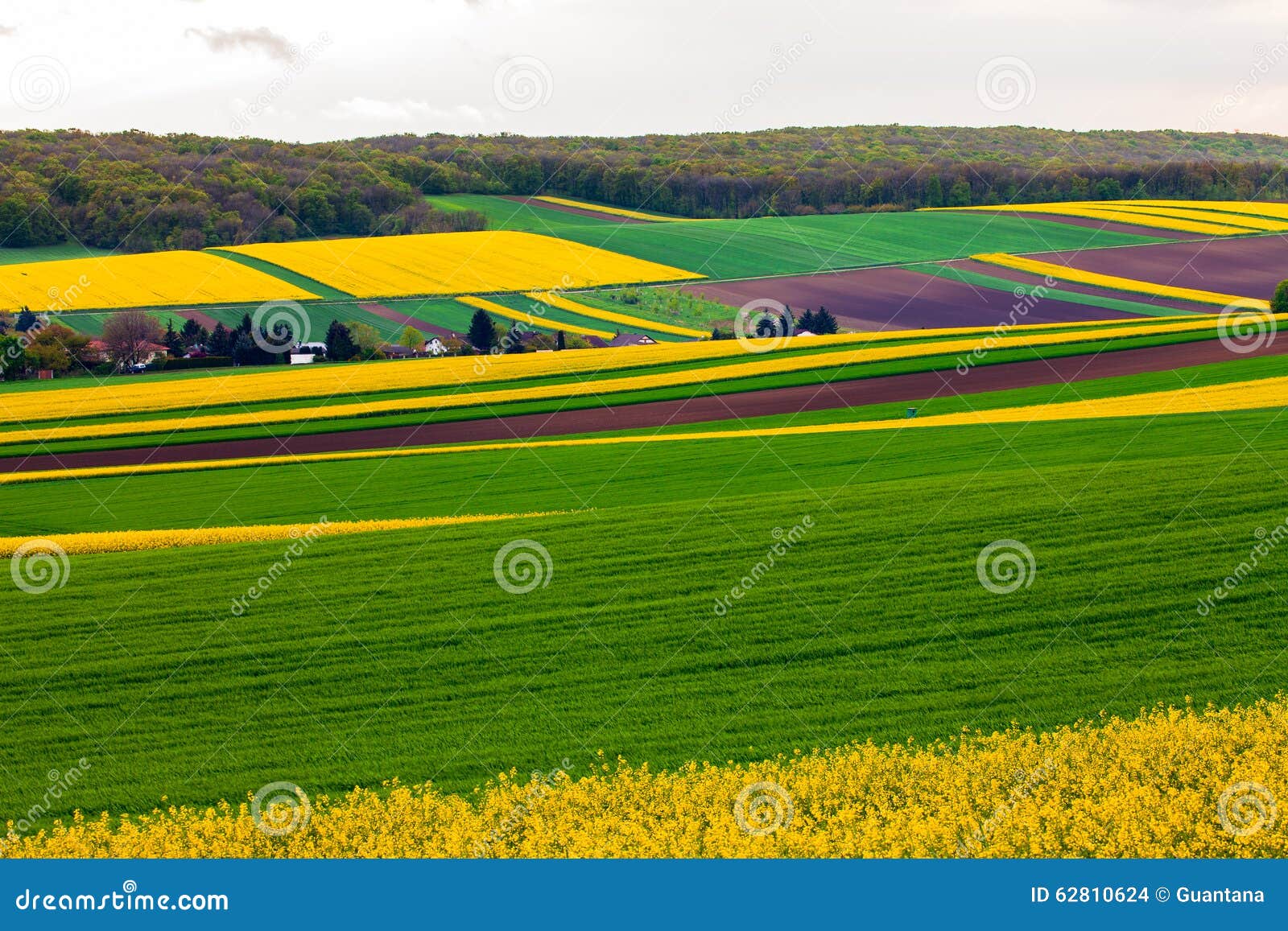 Interesting field patterns stock photo. Image of environment - 62810624