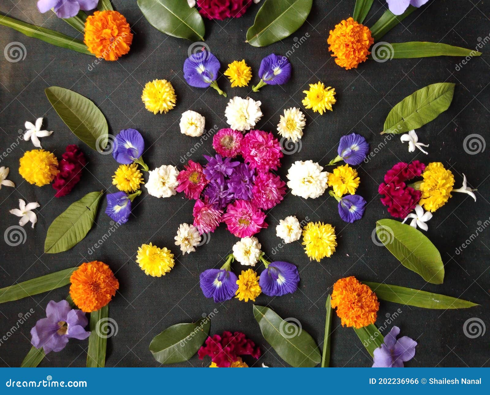 Interesting Flower Design-5 Stock Photo - Image of vivid, maroon: 202236966