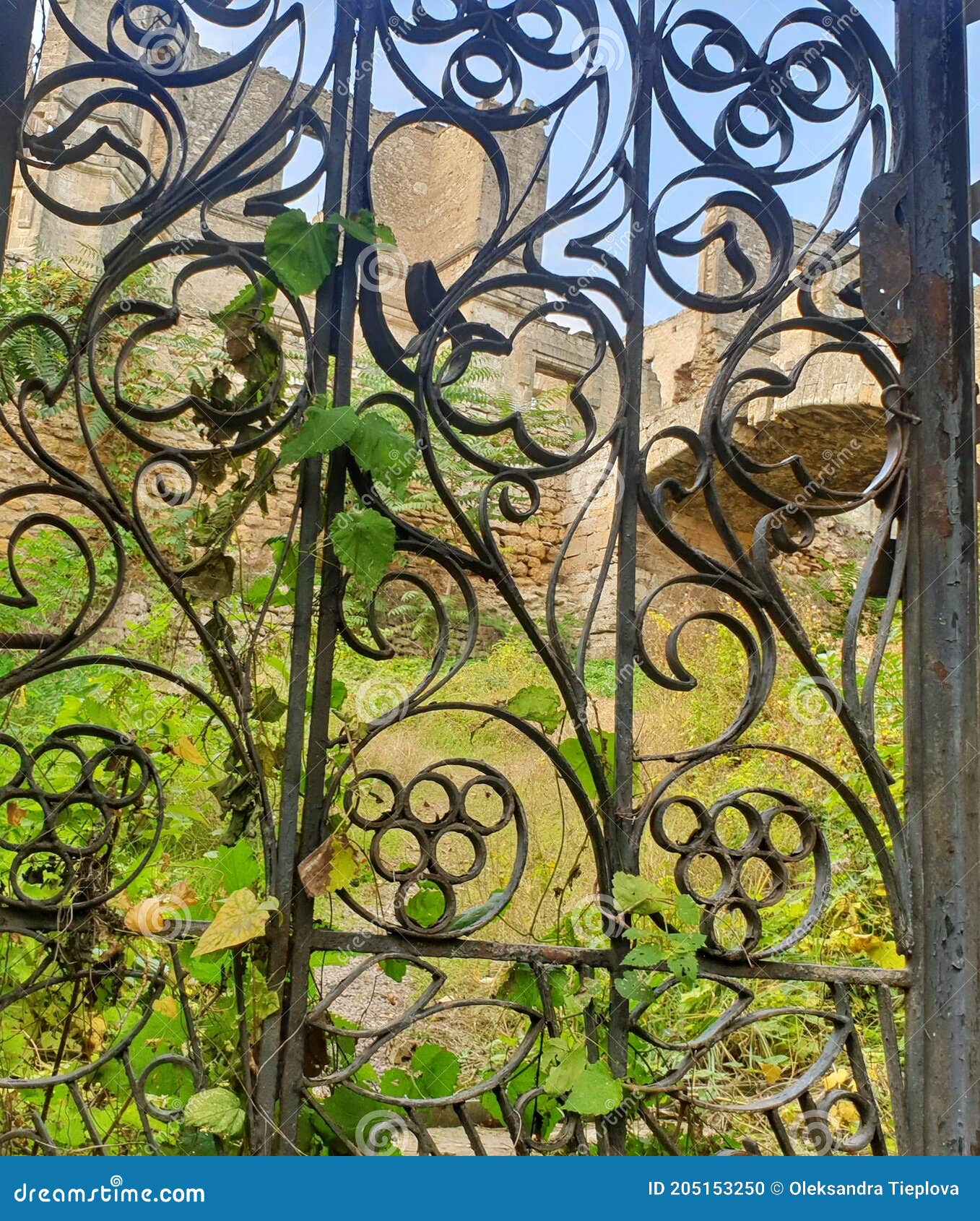 Old castle patterned gates stock photo. Image of gate - 205153250