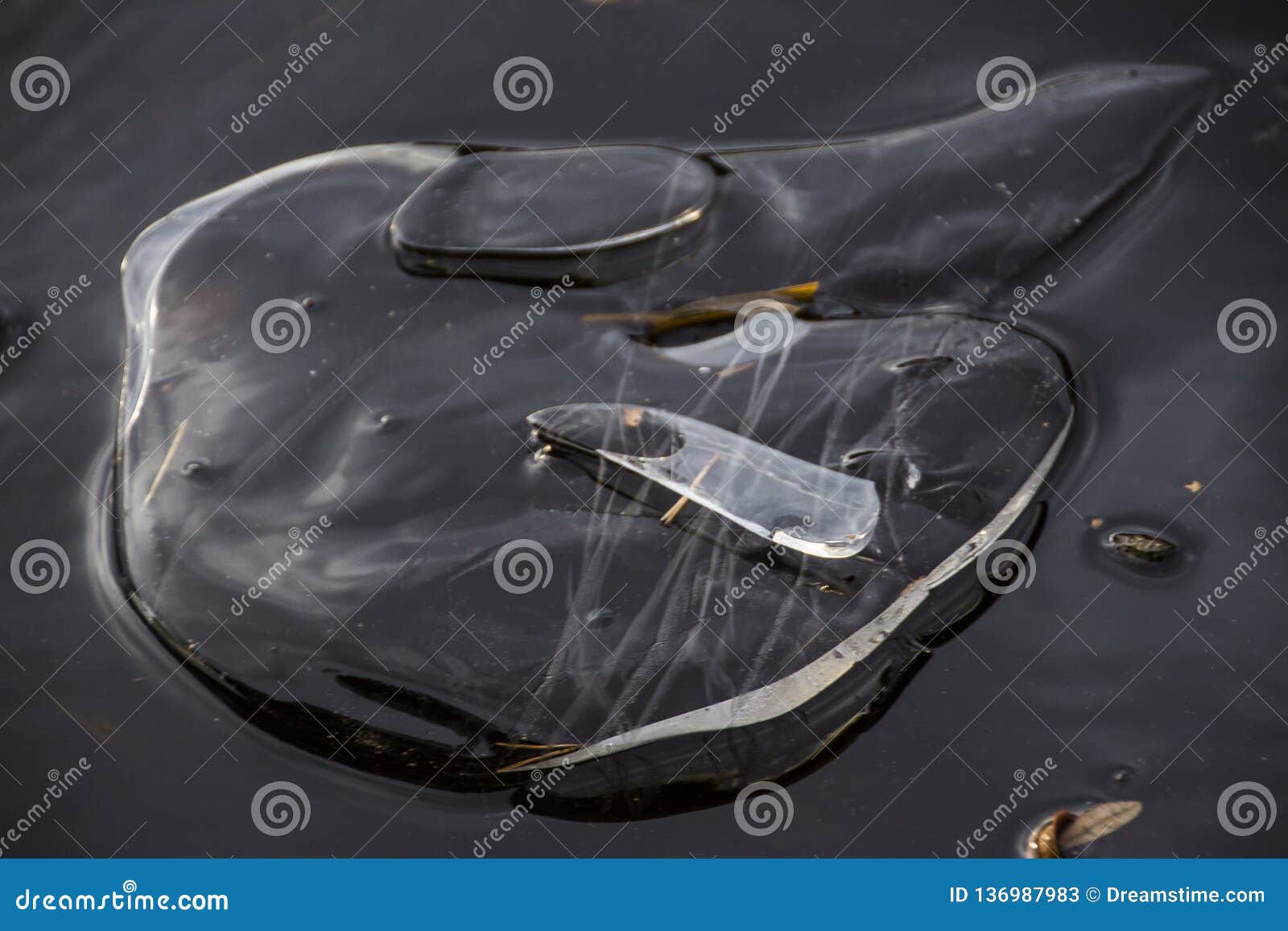 Interesting Forms Made by the Ice Stock Image - Image of forms ...