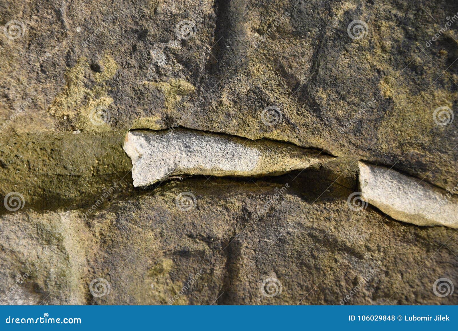 Interesting Fossils in Stone. Stock Photo - Image of trilobite, fossil ...