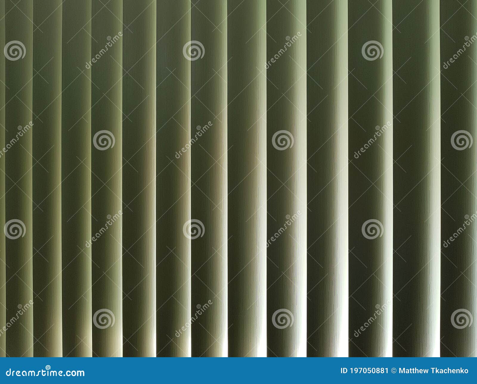 Interesting Green Background From A Fern, Creating A Single Pattern ...
