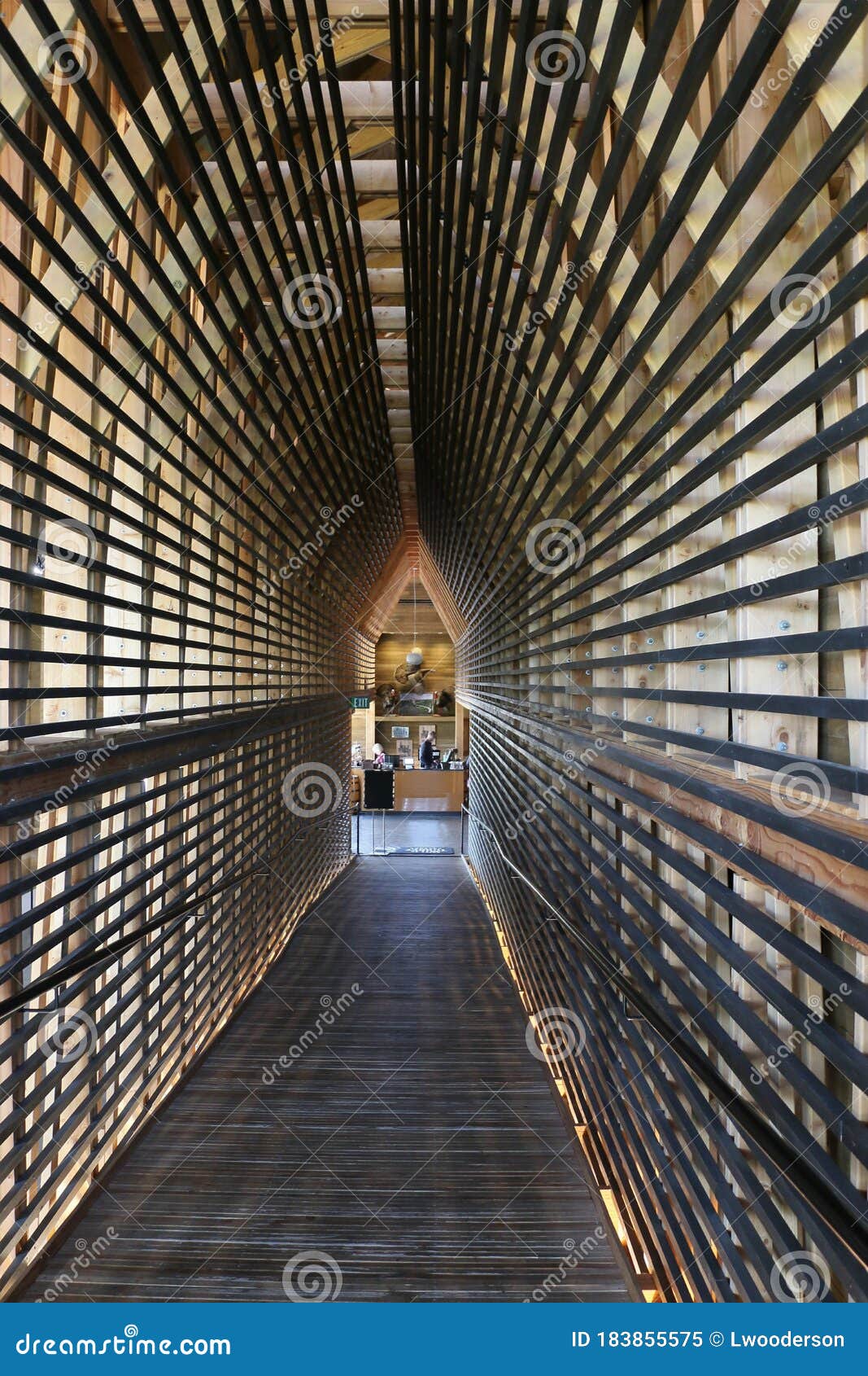 Lattice arch walkway stock image. Image of lattice, design - 183855575