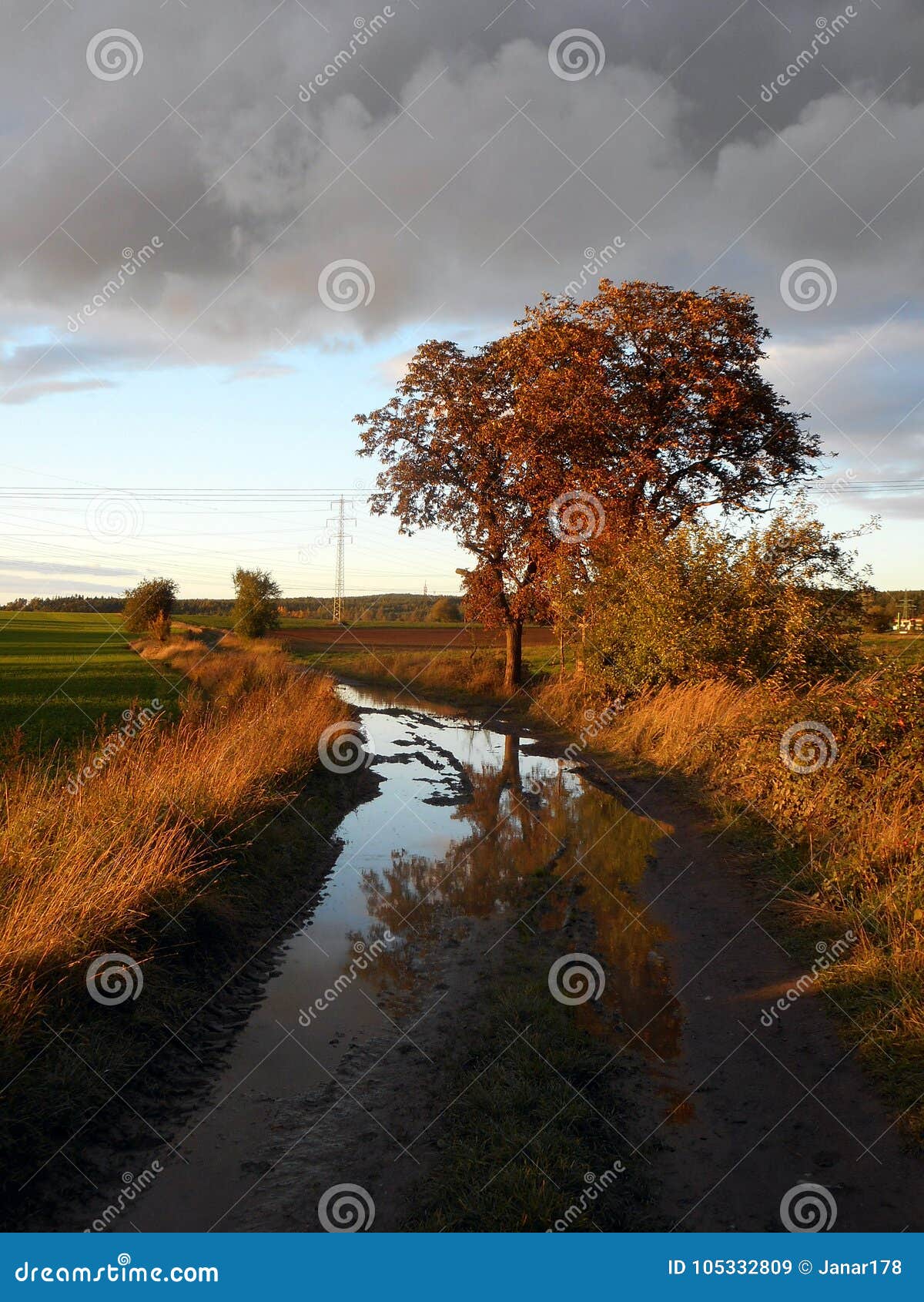 Autumn Early Evening between Fields Stock Image - Image of light ...