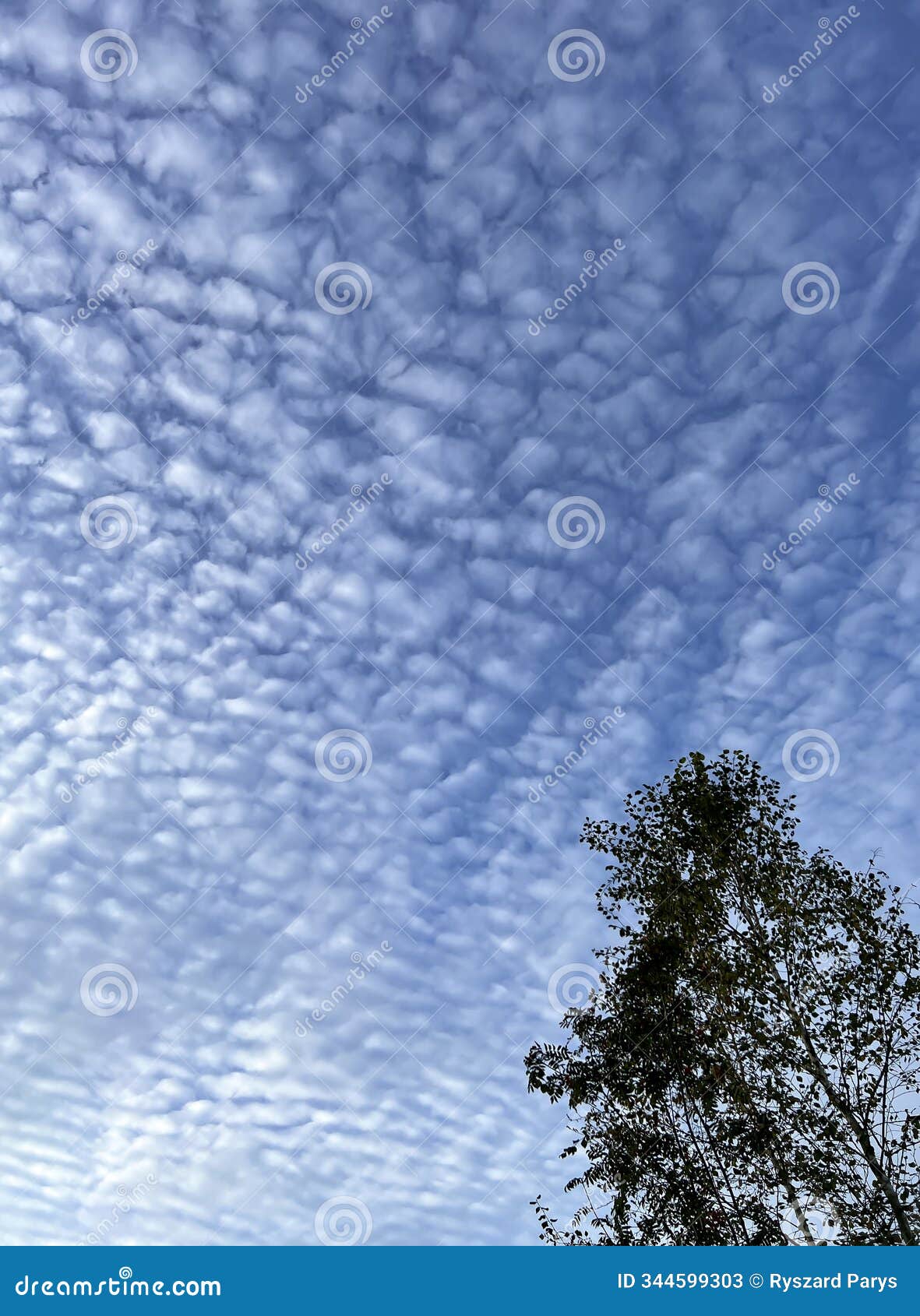 An Interesting-looking Cloud in the Blue Sky As a Background ...
