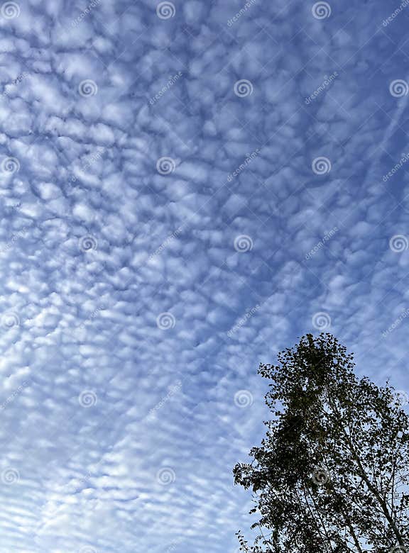 An Interesting-looking Cloud in the Blue Sky As a Background ...