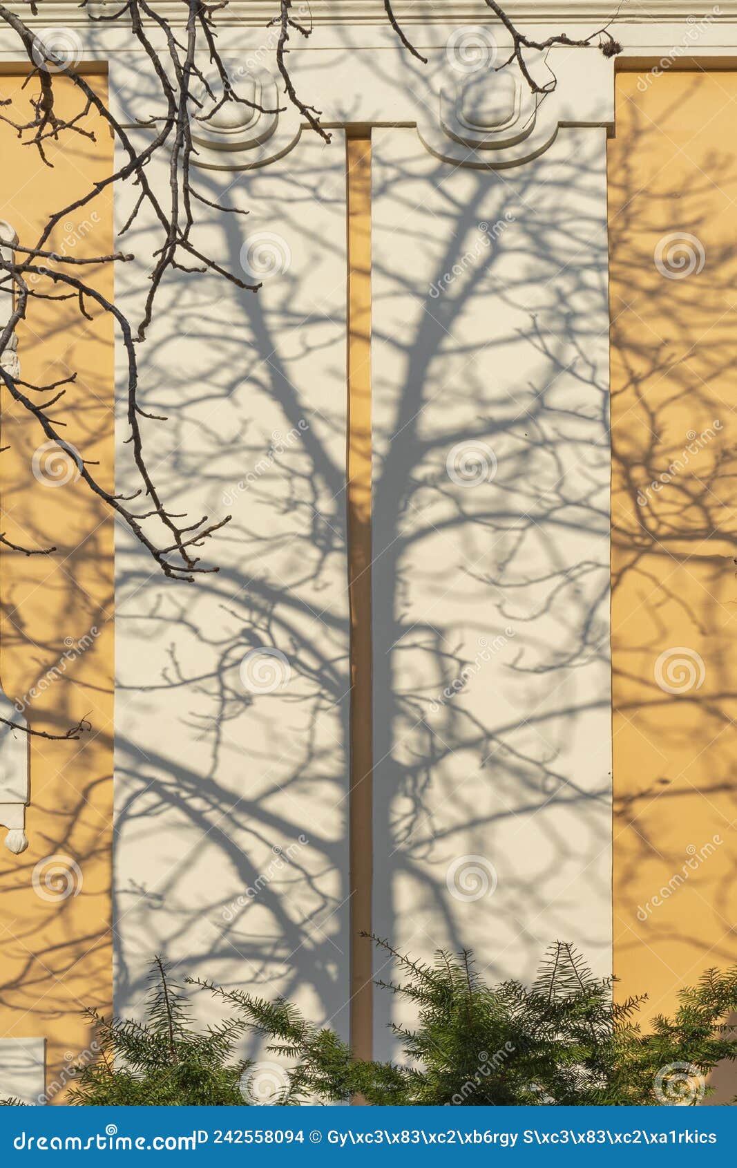 An Interesting Shadow of a Tree Can Be Seen on the Wall of an Old House ...