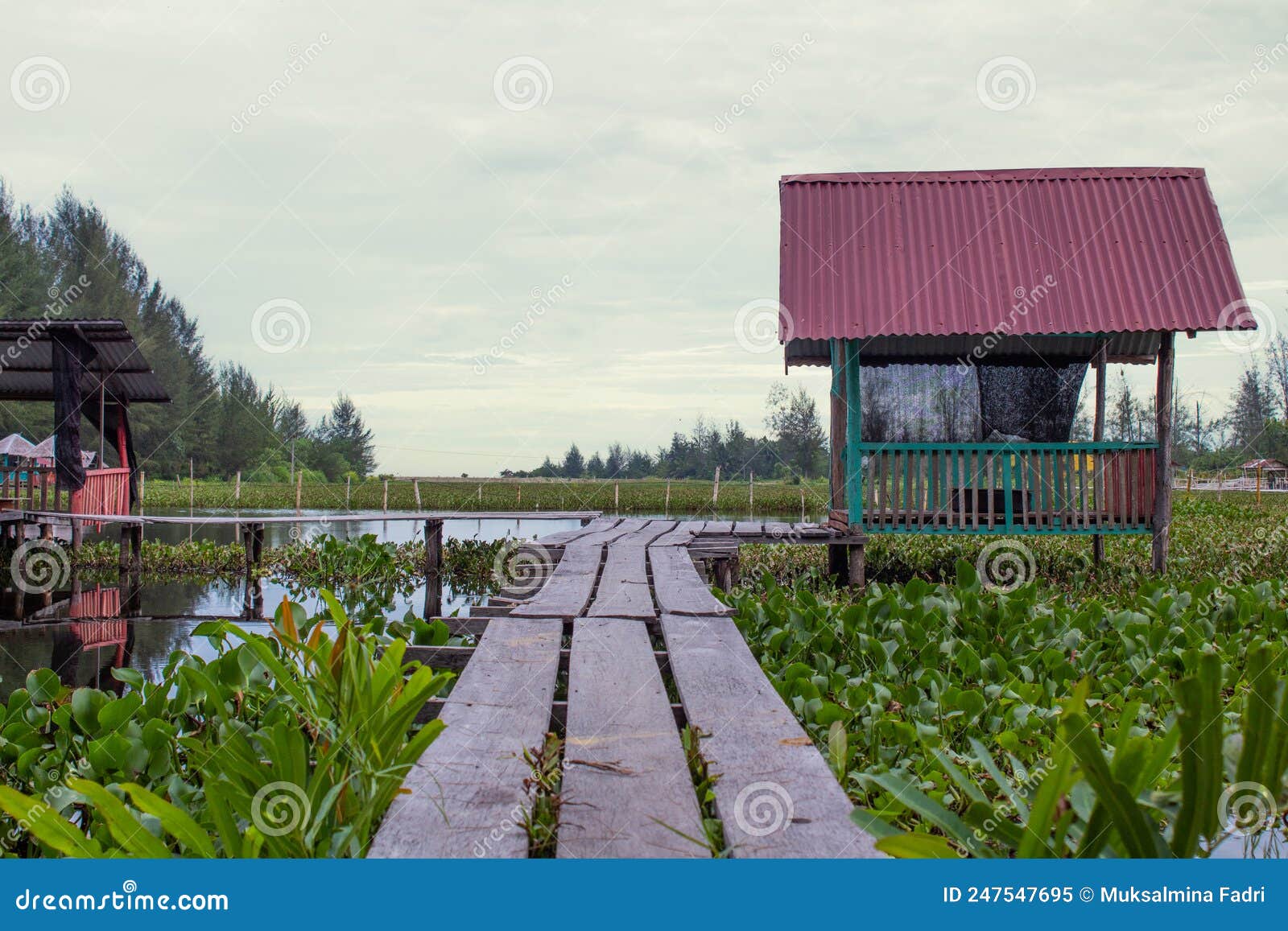 The Beautiful Scenery of a Hut Stock Image - Image of village, scenery ...