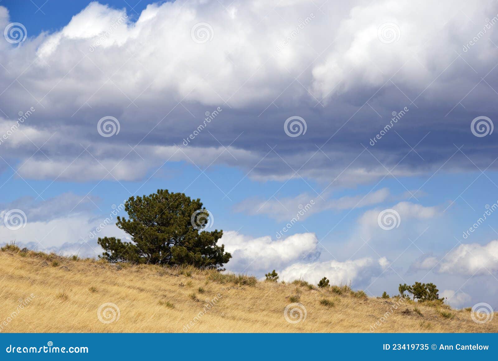Interesting Sky Over Open Space Stock Image - Image of side, hillside ...