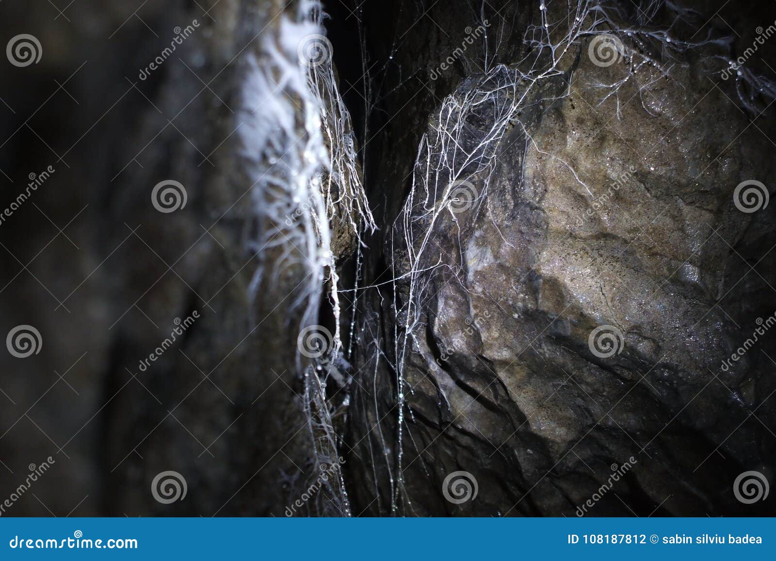 Interesting Spiderweb Formation on Rocks in a Cave Stock Photo - Image ...