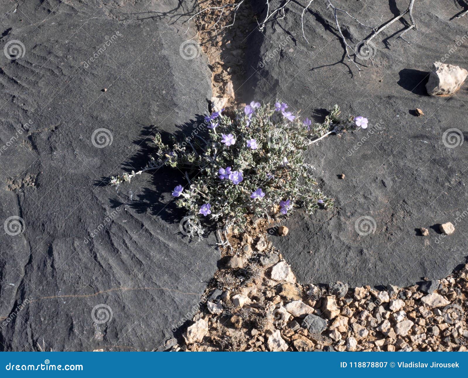 Interesting Stones in Central Namibia. Stock Image - Image of africa ...