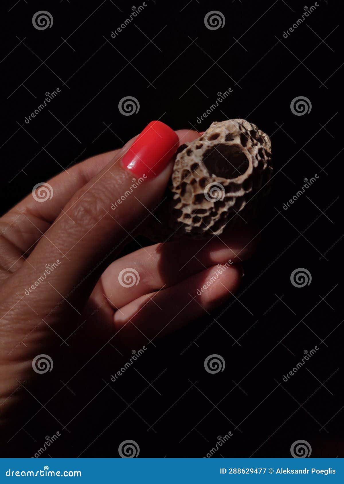 Interesting Texture of a Stone in a Hole in a Human Hand Stock Image ...