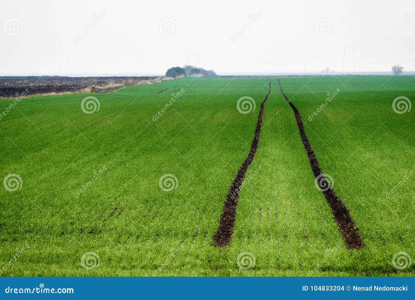 Interesting Traces in the Field and Grass Stock Photo - Image of shape ...