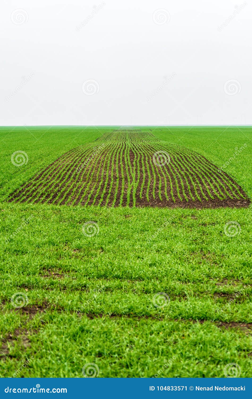 Interesting Traces in the Field and Grass Stock Image - Image of ...
