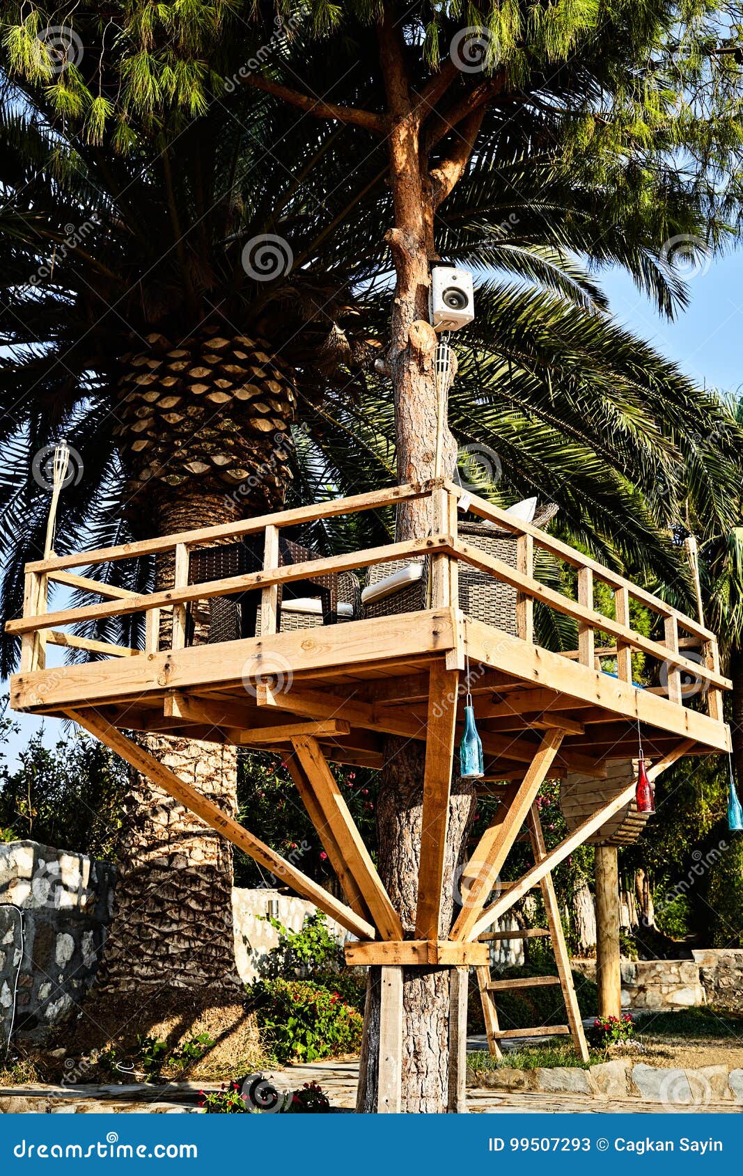 Tree house stock image. Image of bottle, landscape, palm - 99507293