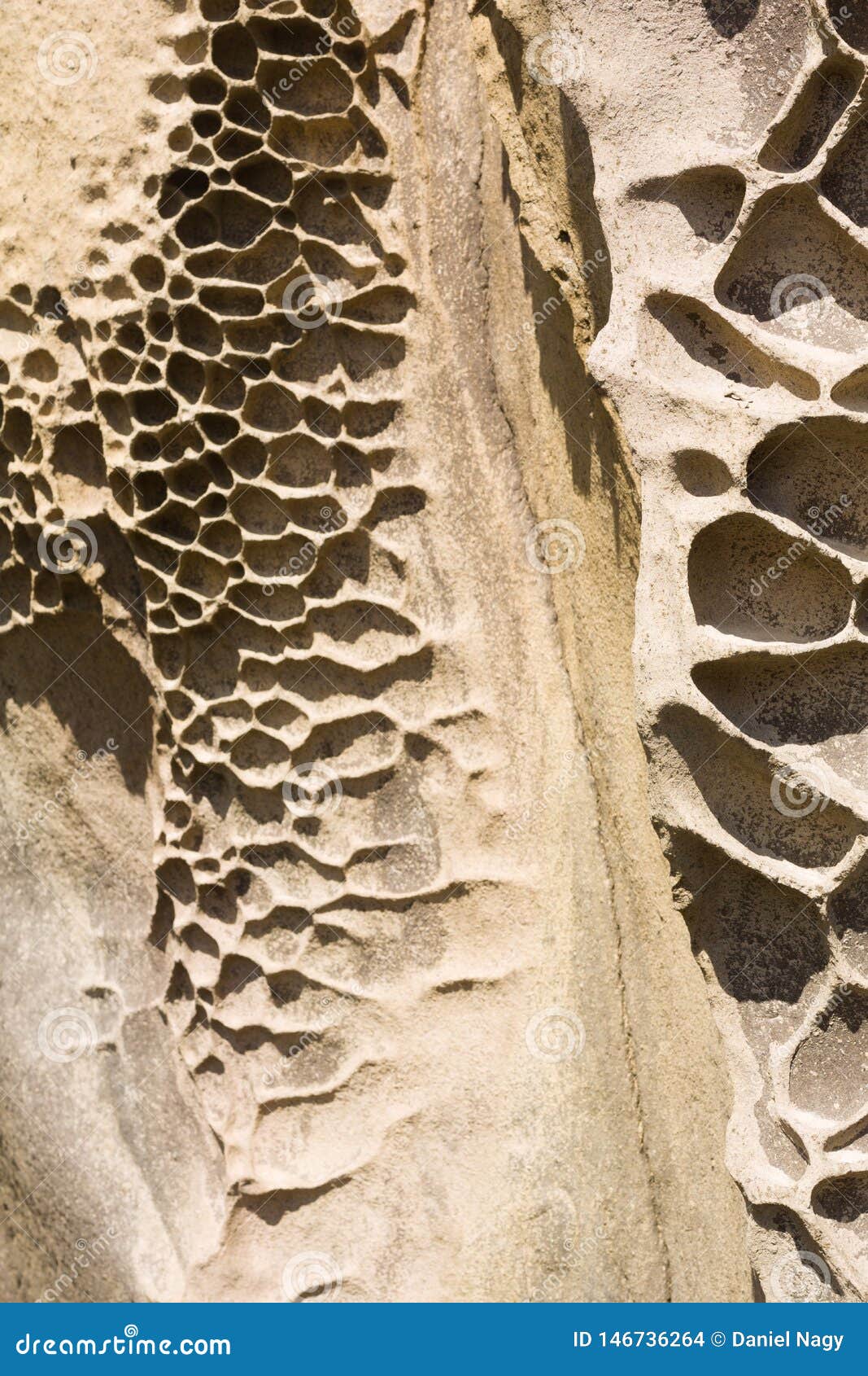 Interesting, Unusual Rock Surface Formation Detail. Texture, Background ...