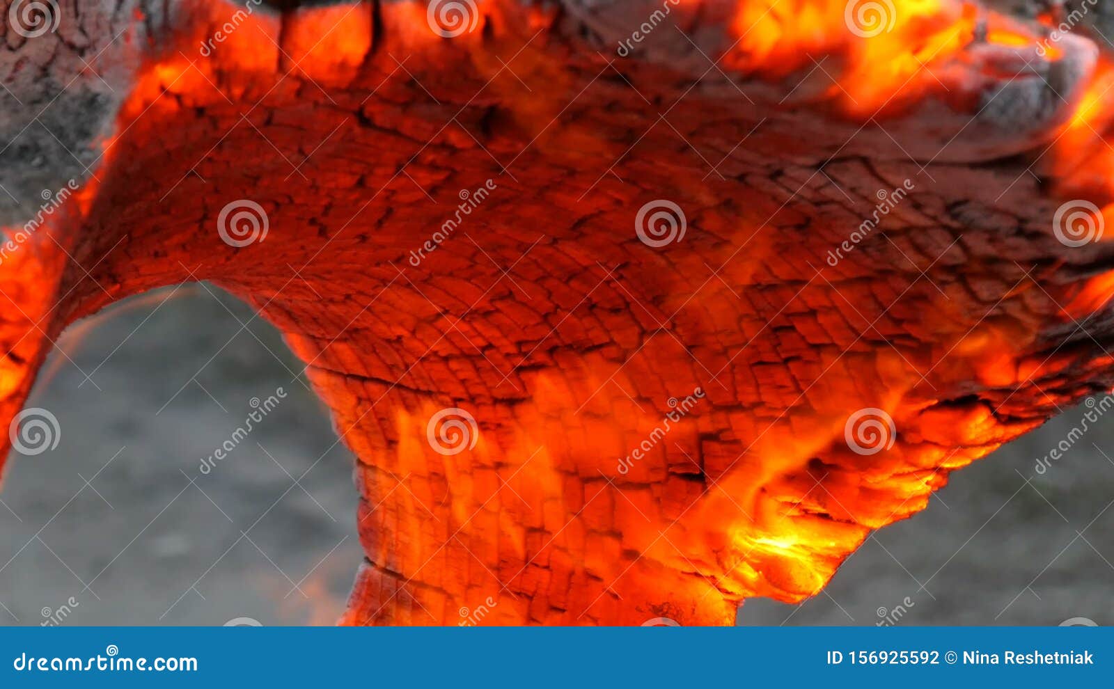 Interesting Unusual Smoldering and Burning Old Tree Stump, Glowing from ...