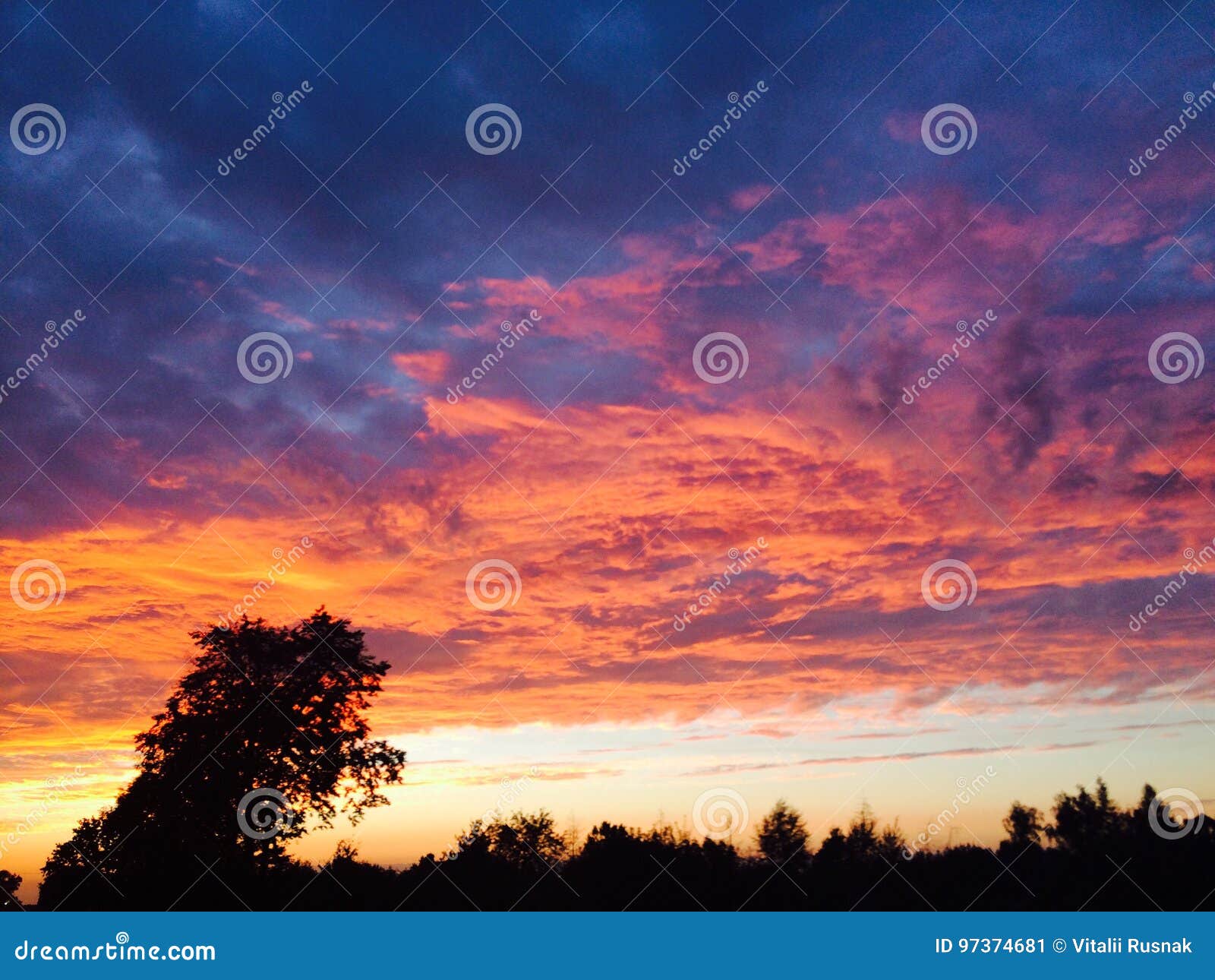 Interesting View of SummerÂ sunset Sky Stock Image - Image of view ...