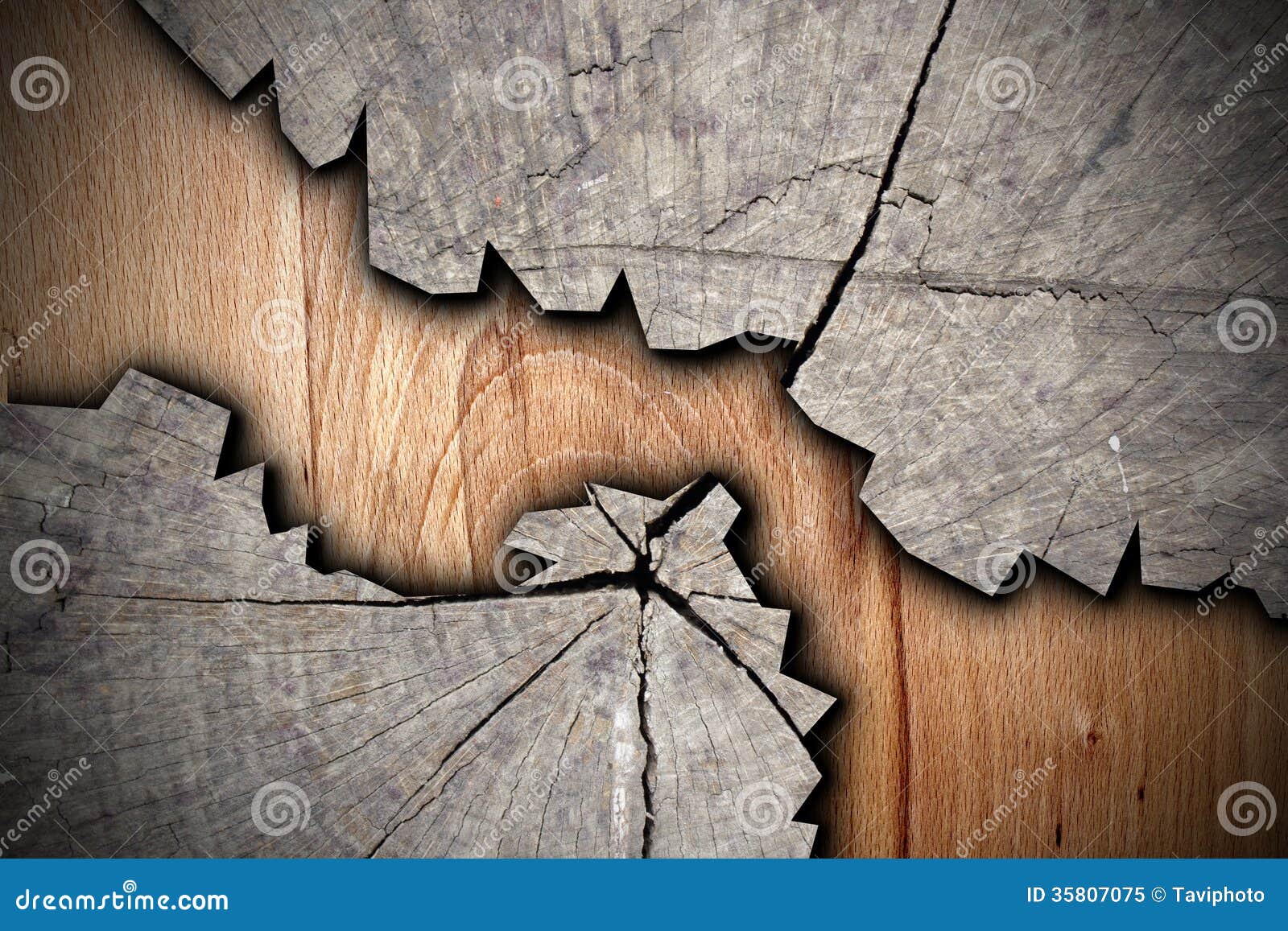 Interesting wood texture stock image. Image of dried - 35807075