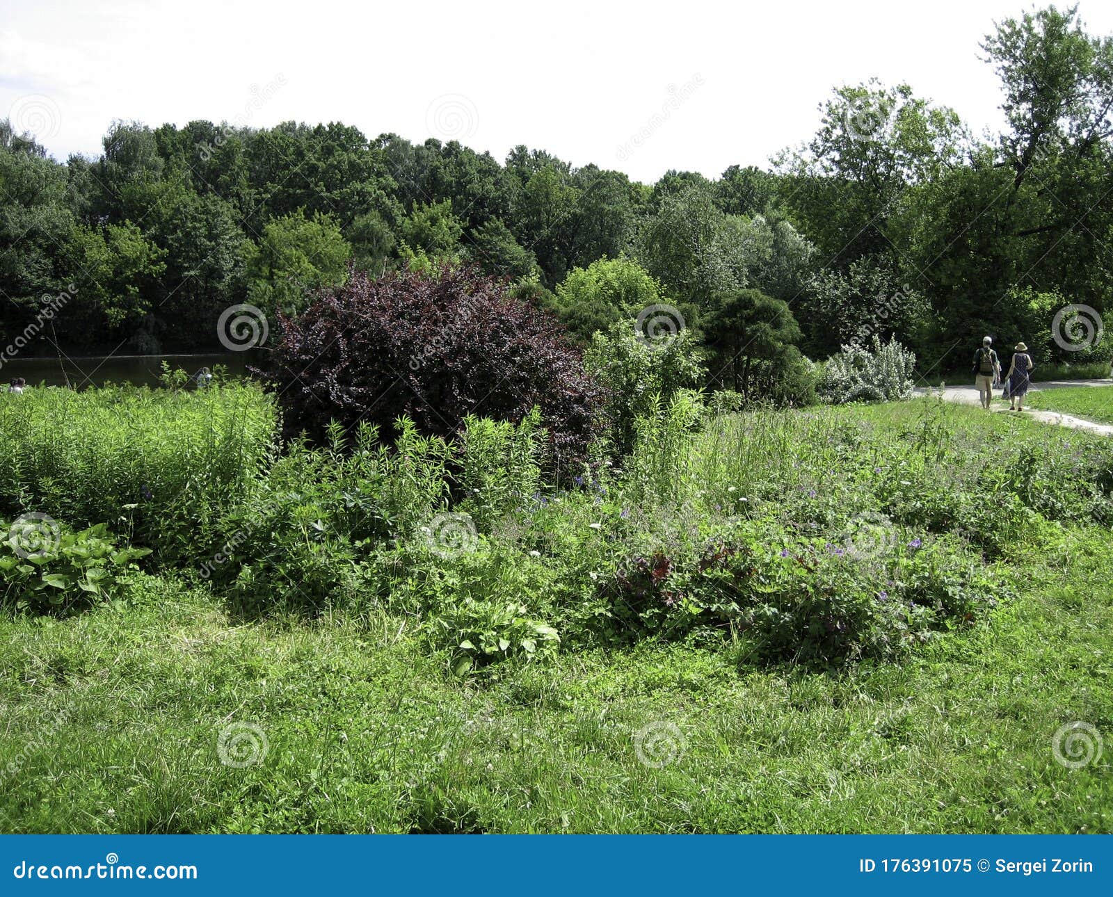 Interestingly Trimmed Small Bushes-round-shaped Trees in the Botanical ...