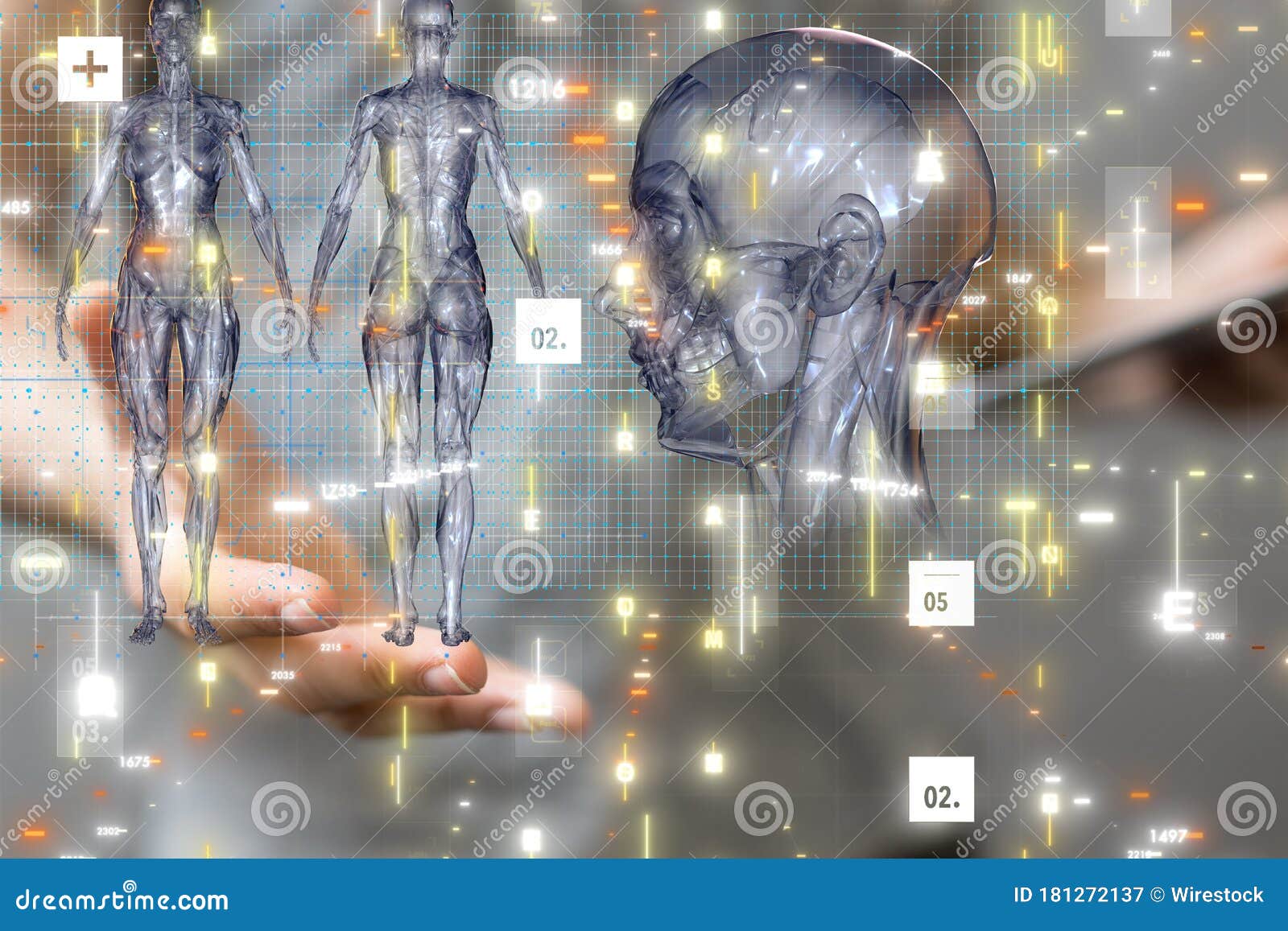 A Interface As Medical Network Concept Stock Image - Image of banner ...