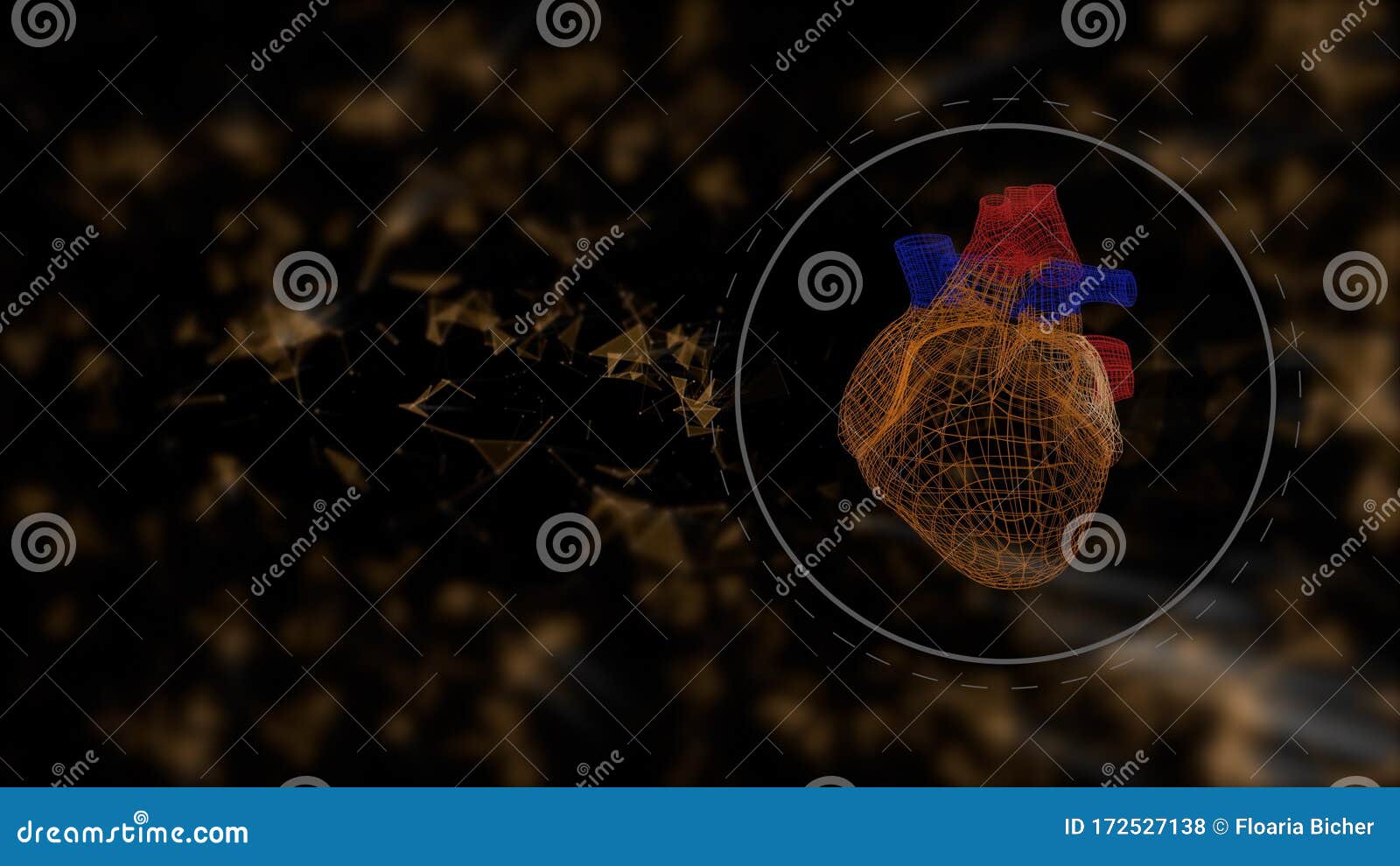 Heart Scan. the Interface for Detecting Diseases and Problems with the ...