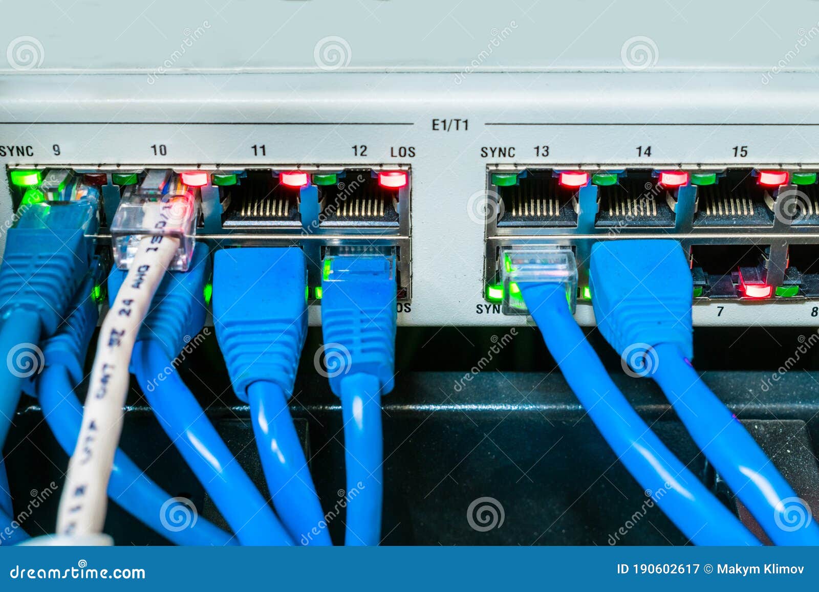 Interfaces De Red Con Los Cables De Internet Conectados a Ellos Imagen ...