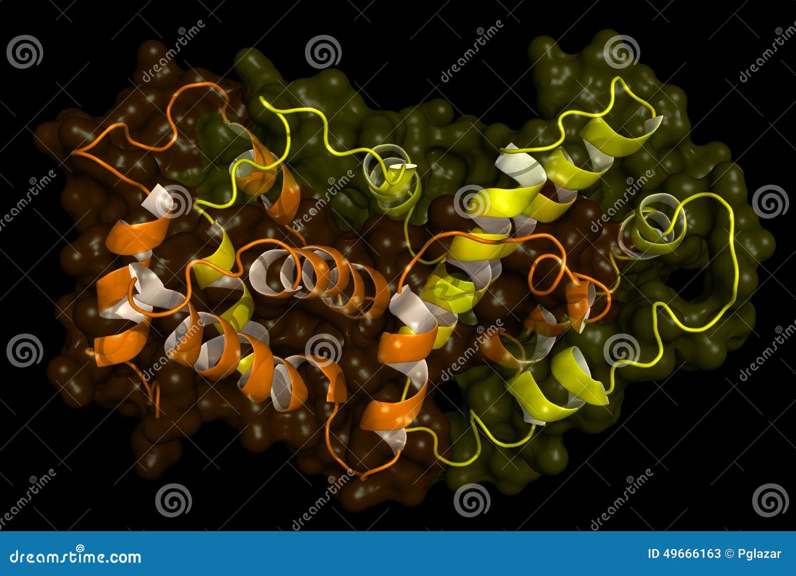 Interferon gamma structure stock illustration. Illustration of health ...