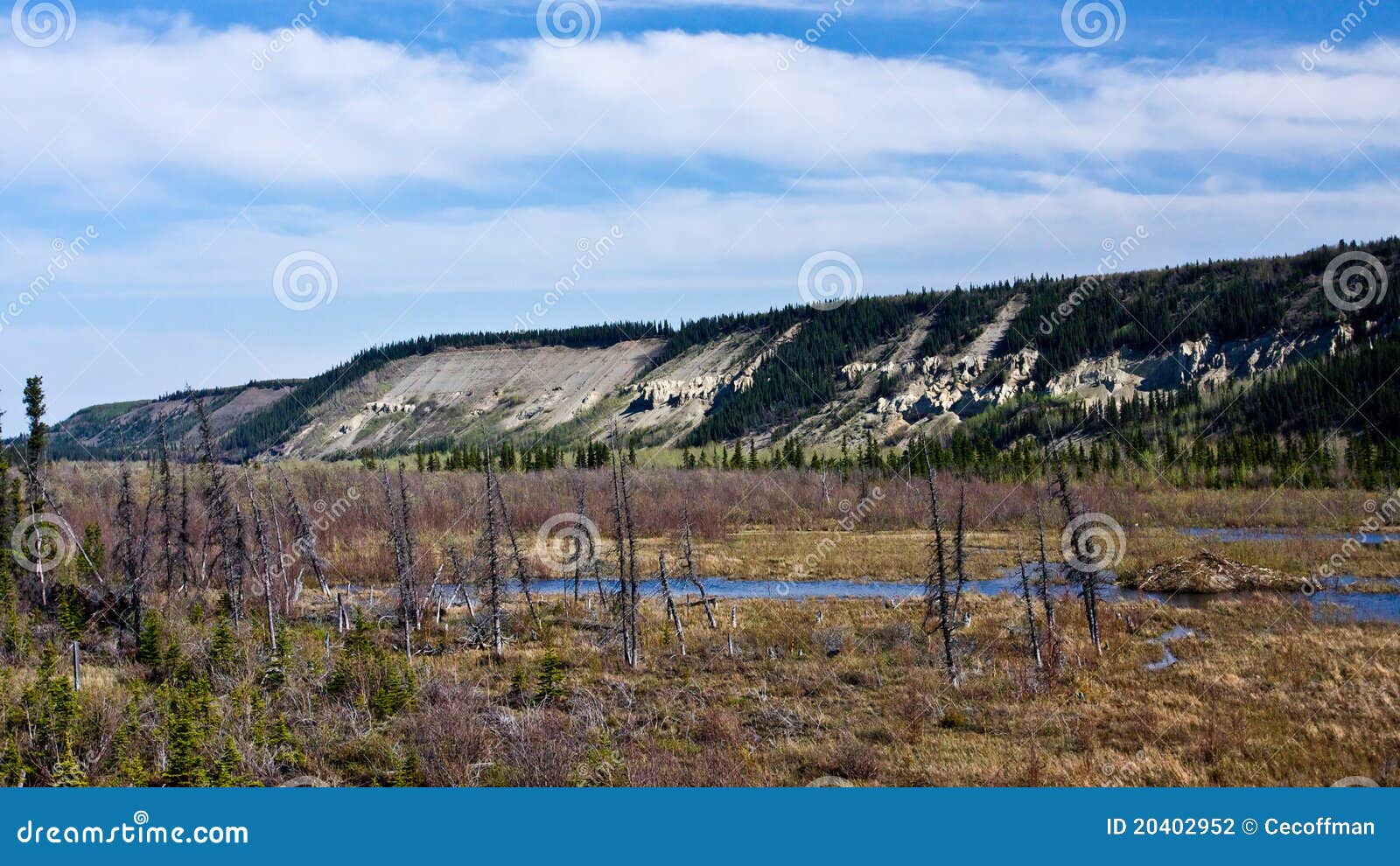 Interior Alaska stock photo. Image of skies, polar, travel - 20402952