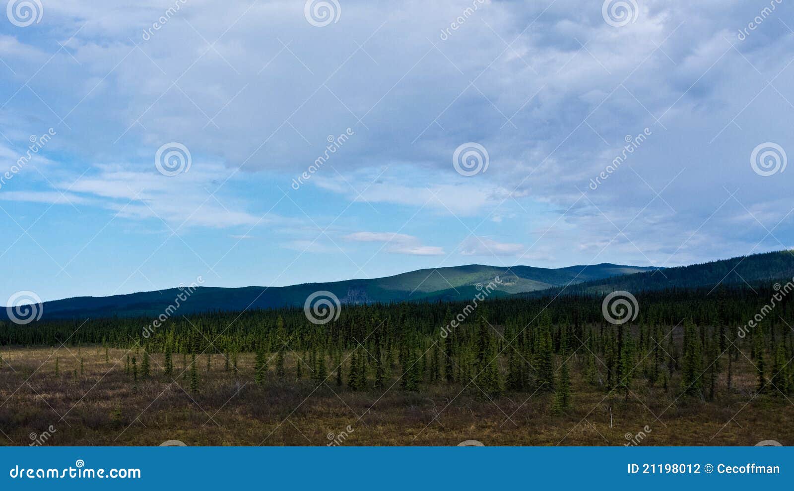 Interior Alaska stock photo. Image of outdoors, hill - 21198012
