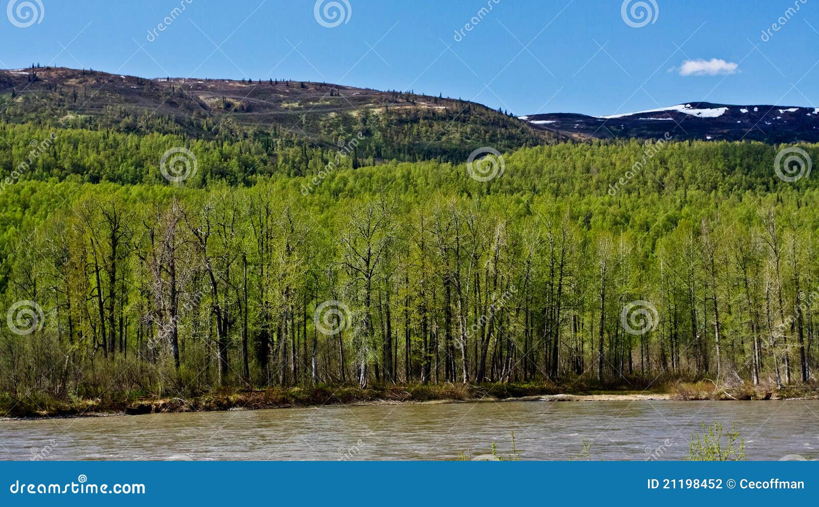 Interior Alaska stock photo. Image of alaska, adventure - 21198452