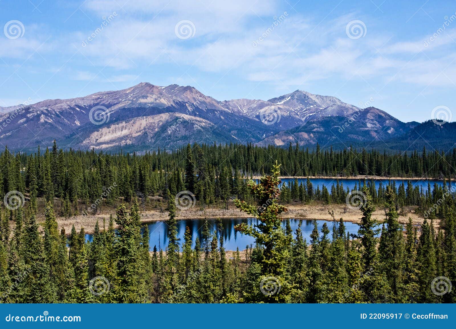 Interior Alaska stock image. Image of vacation, united - 22095917