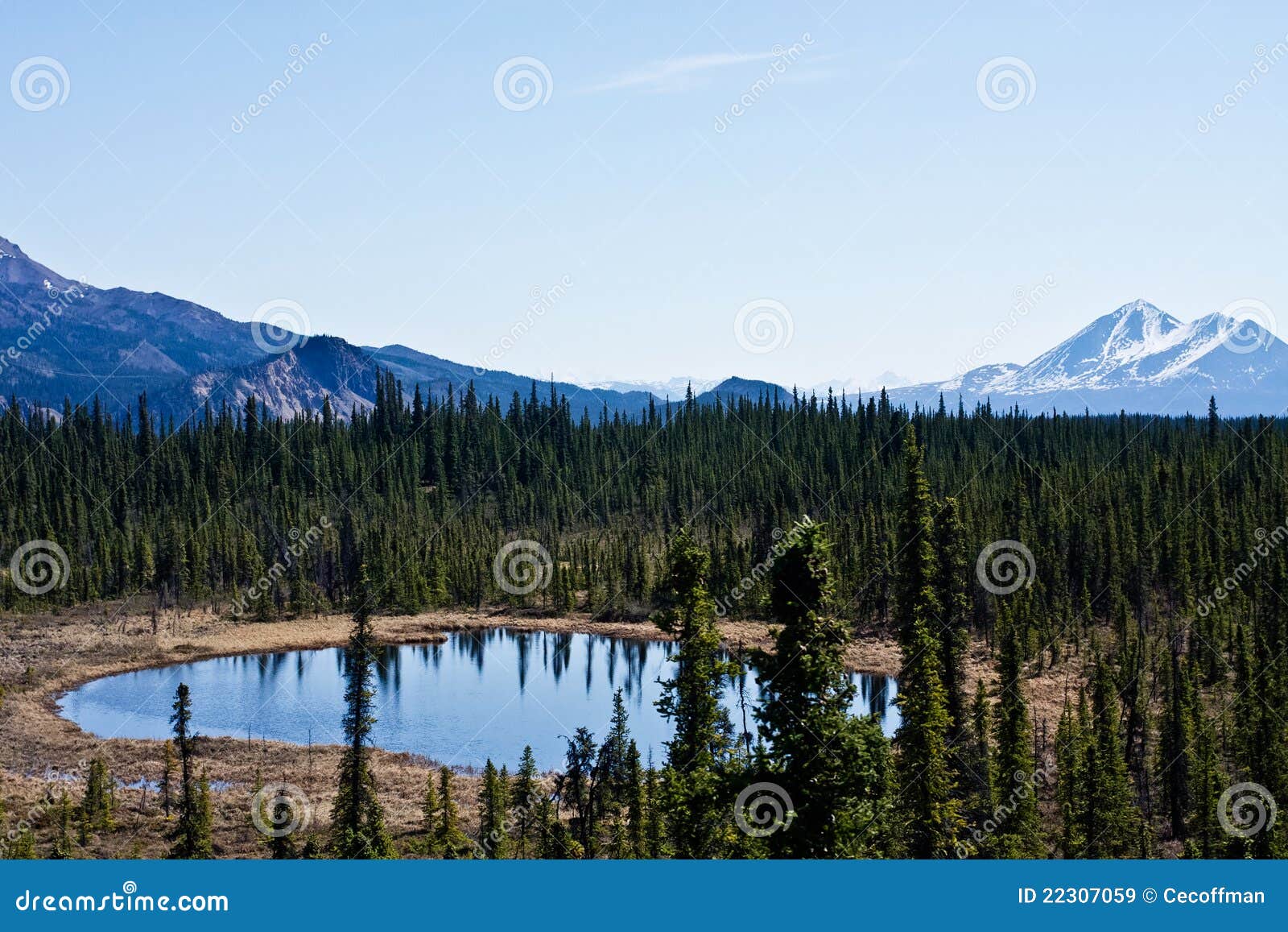 Interior Alaska stock image. Image of remote, alaska - 22307059