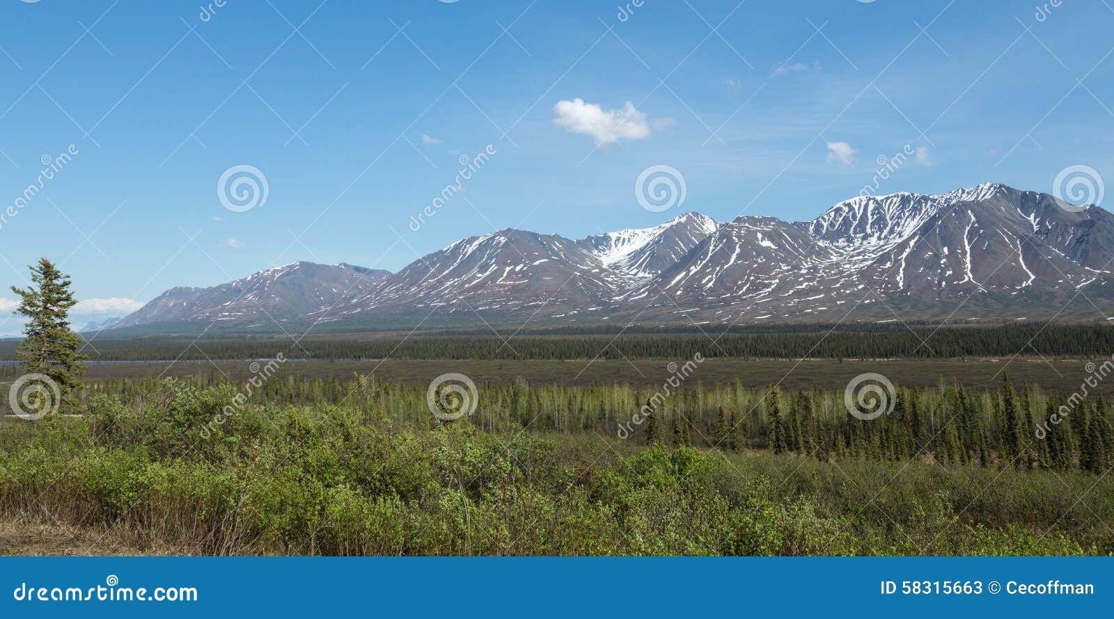 Interior Alaska stock image. Image of landscape, regions - 58315663