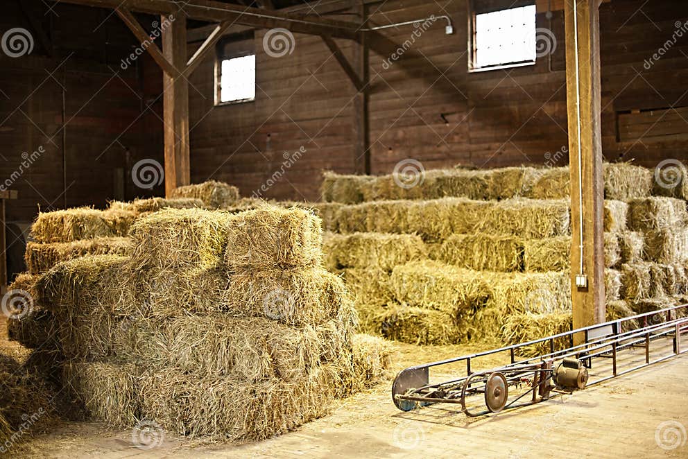 Interior of Barn with Hay Bales Stock Photo - Image of food, hayloft ...