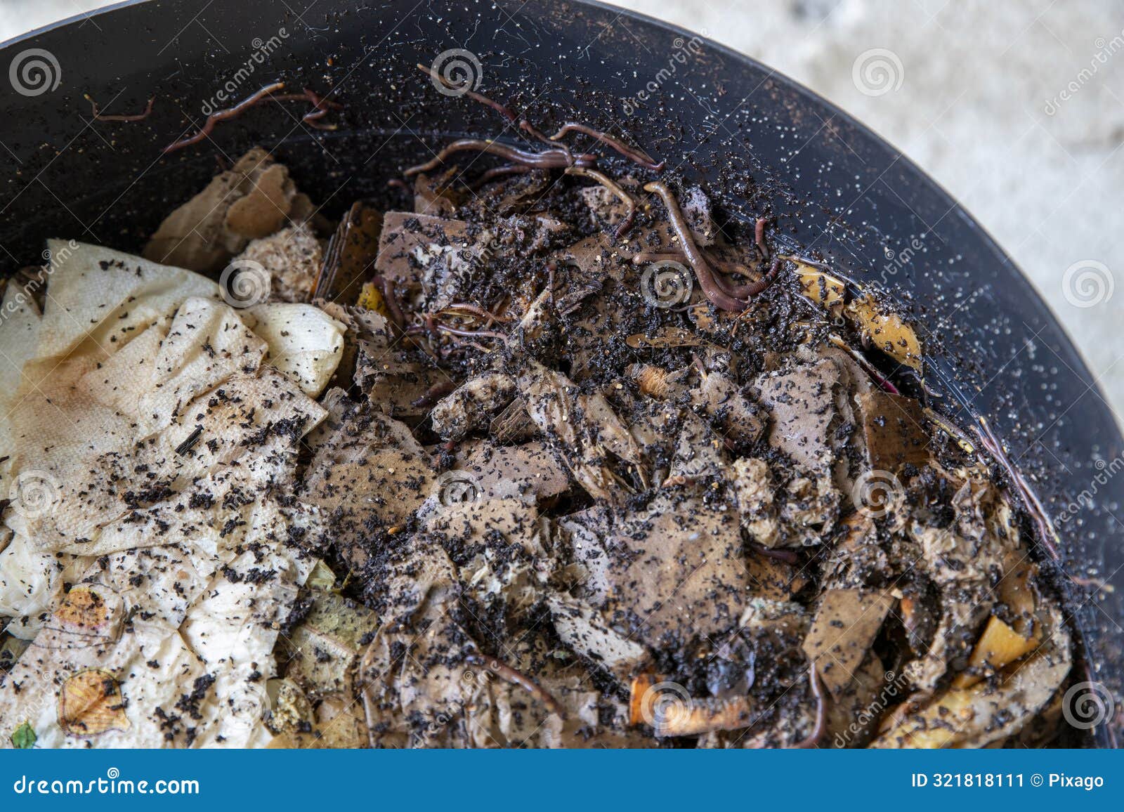 Interior of a Black Worm Composter Stock Image - Image of earthworm ...